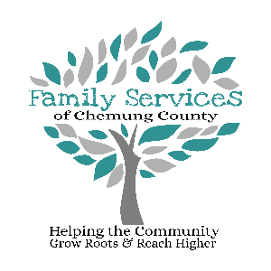 Open Network Partners | Care Compass Network - Binghamton, NY